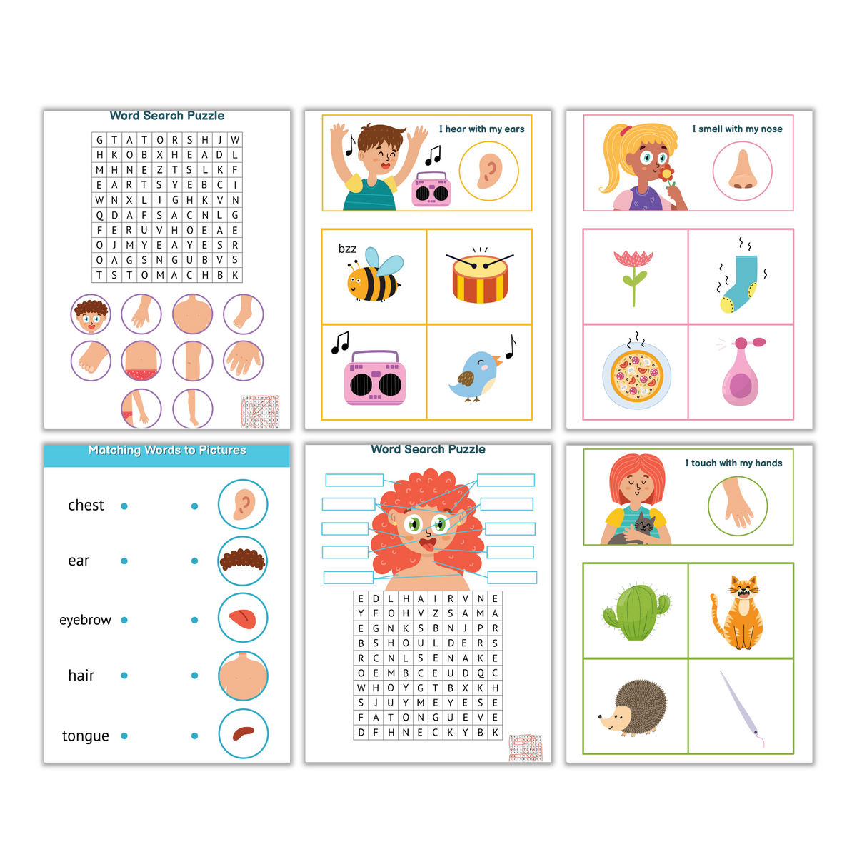 Body Parts & Five Senses Mega Activity Bundle– Sensory Surroundings