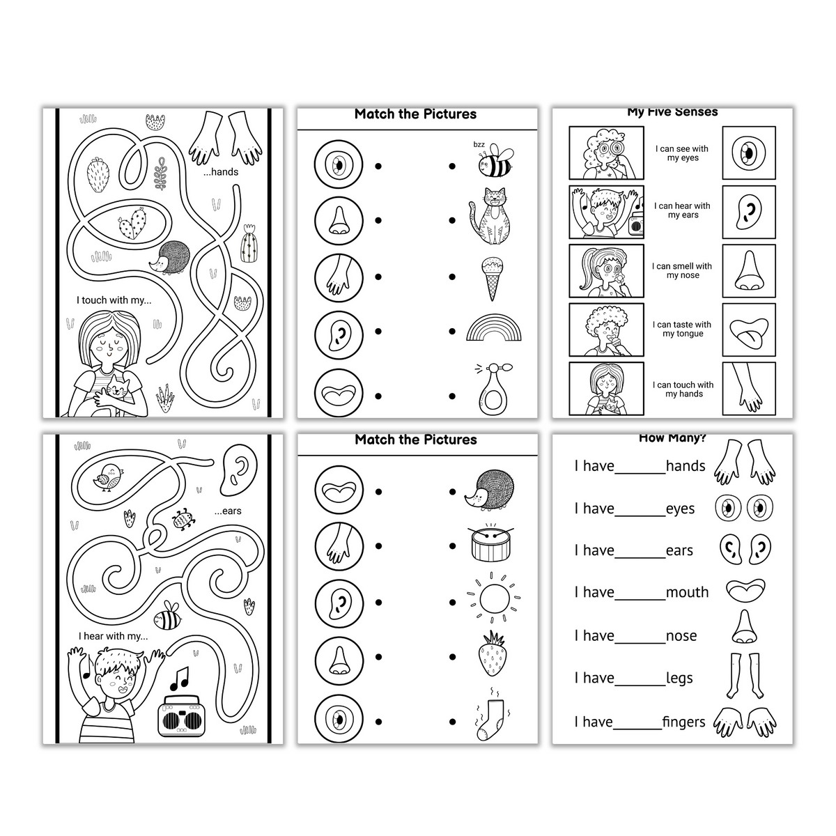Body Parts & Five Senses Mega Activity Bundle– Sensory Surroundings Limited